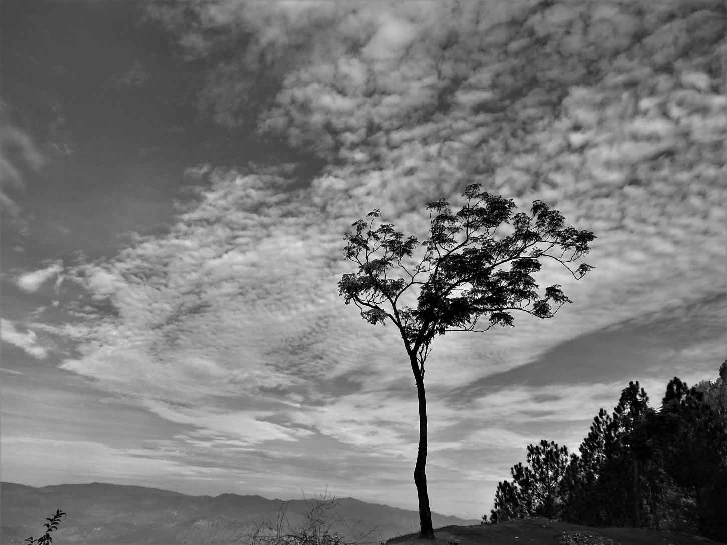 मानसून में कोहरा और पहाड़ - फोटो निबंध - Kafal Tree