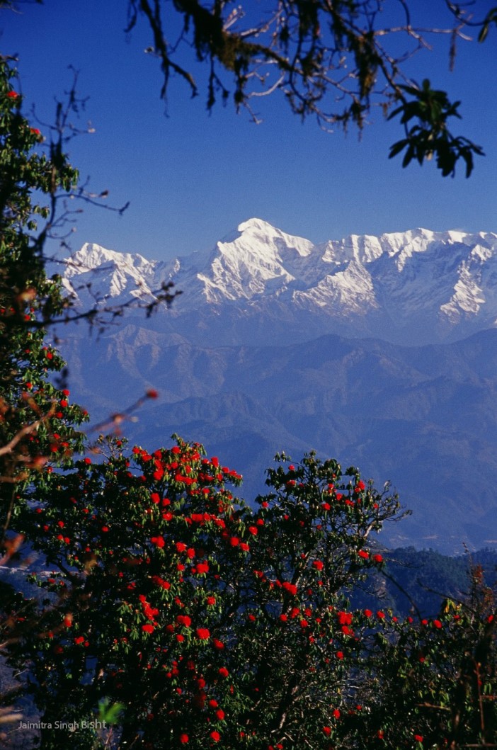 अपने हिमालय की चोटियों को पहचानिए – त्रिशूल - Kafal Tree