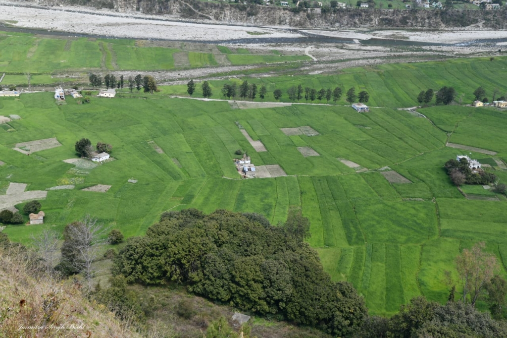 बेतालघाट की घाटी का वसंत - जयमित्र सिंह बिष्ट के फोटो - Betalghat Valley