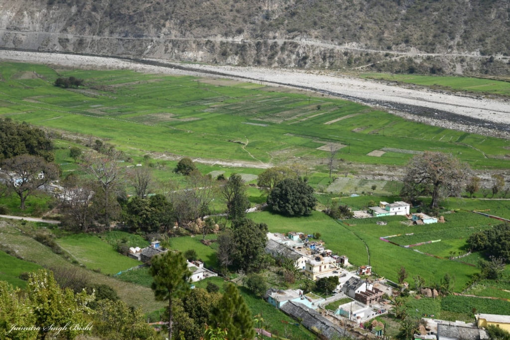 बेतालघाट की घाटी का वसंत - जयमित्र सिंह बिष्ट के फोटो - Betalghat Valley