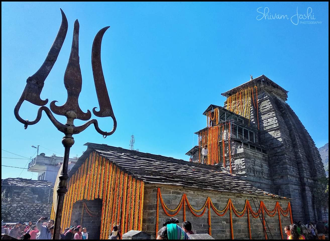 एक त्रिशूल की आंखिन देखी - Kafal Tree