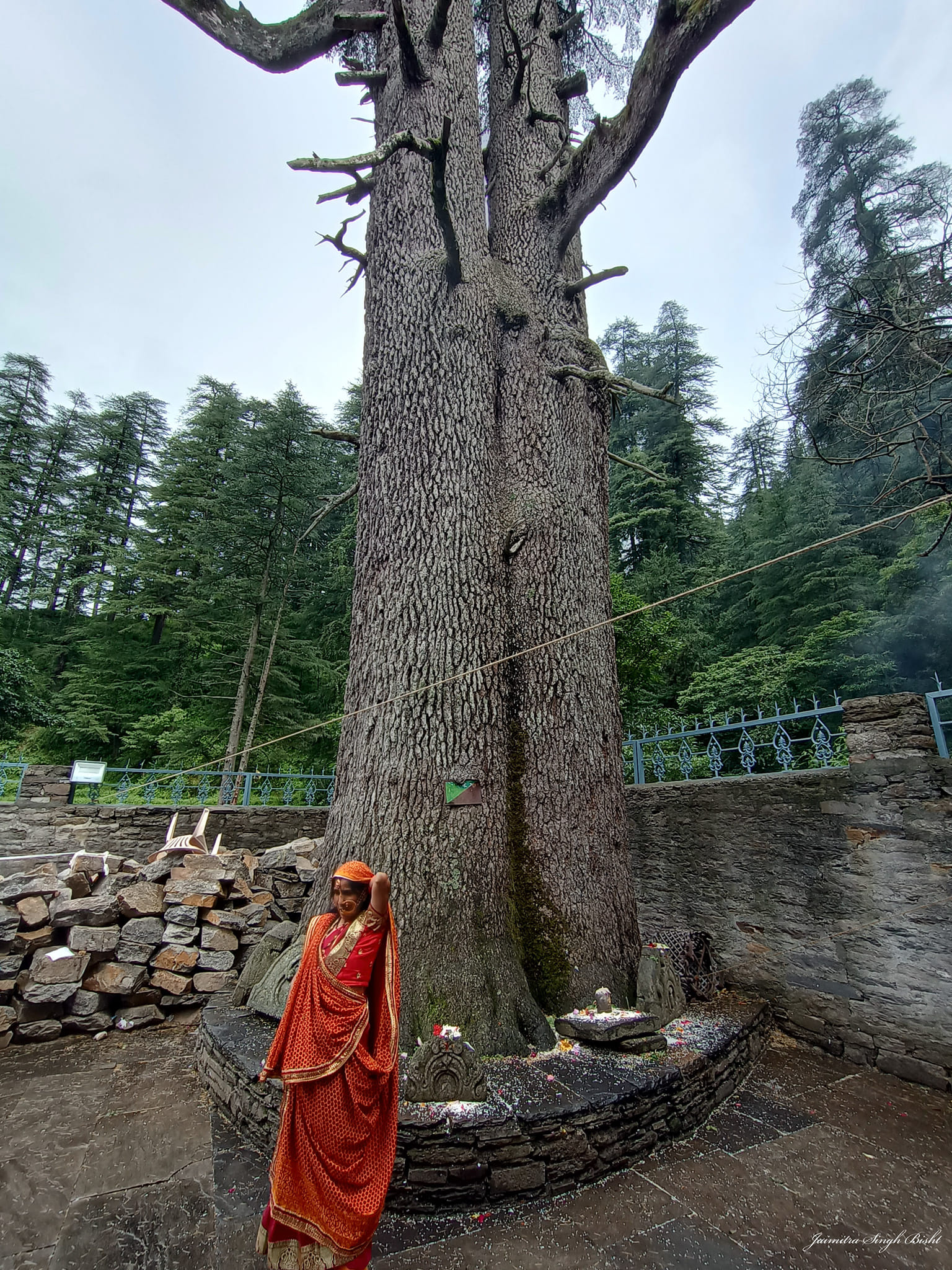 सावन के आखिरी सोमवार पर जागेश्वर धाम की तस्वीरें - Kafal Tree
