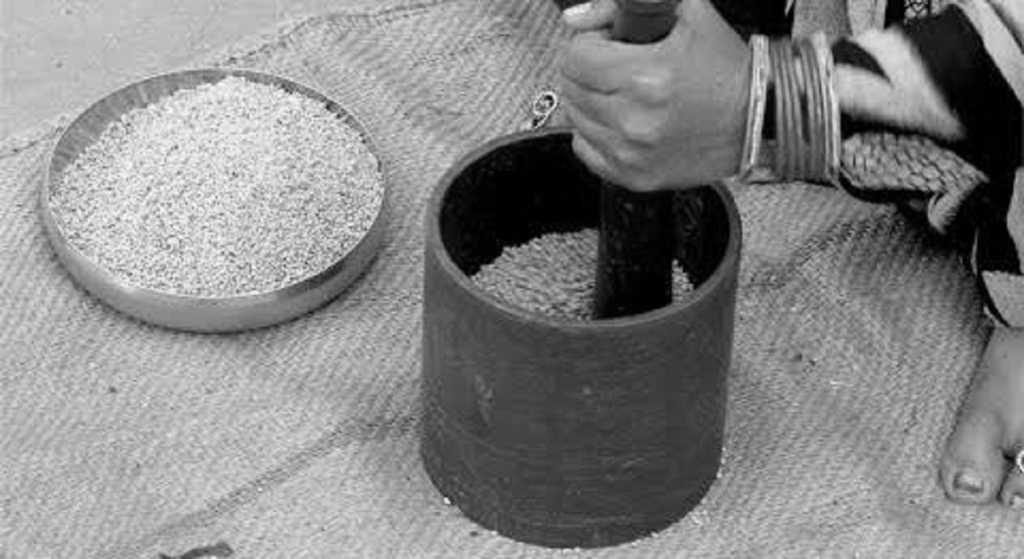 इमामदस्ता या खलमूसल - Kafal Tree